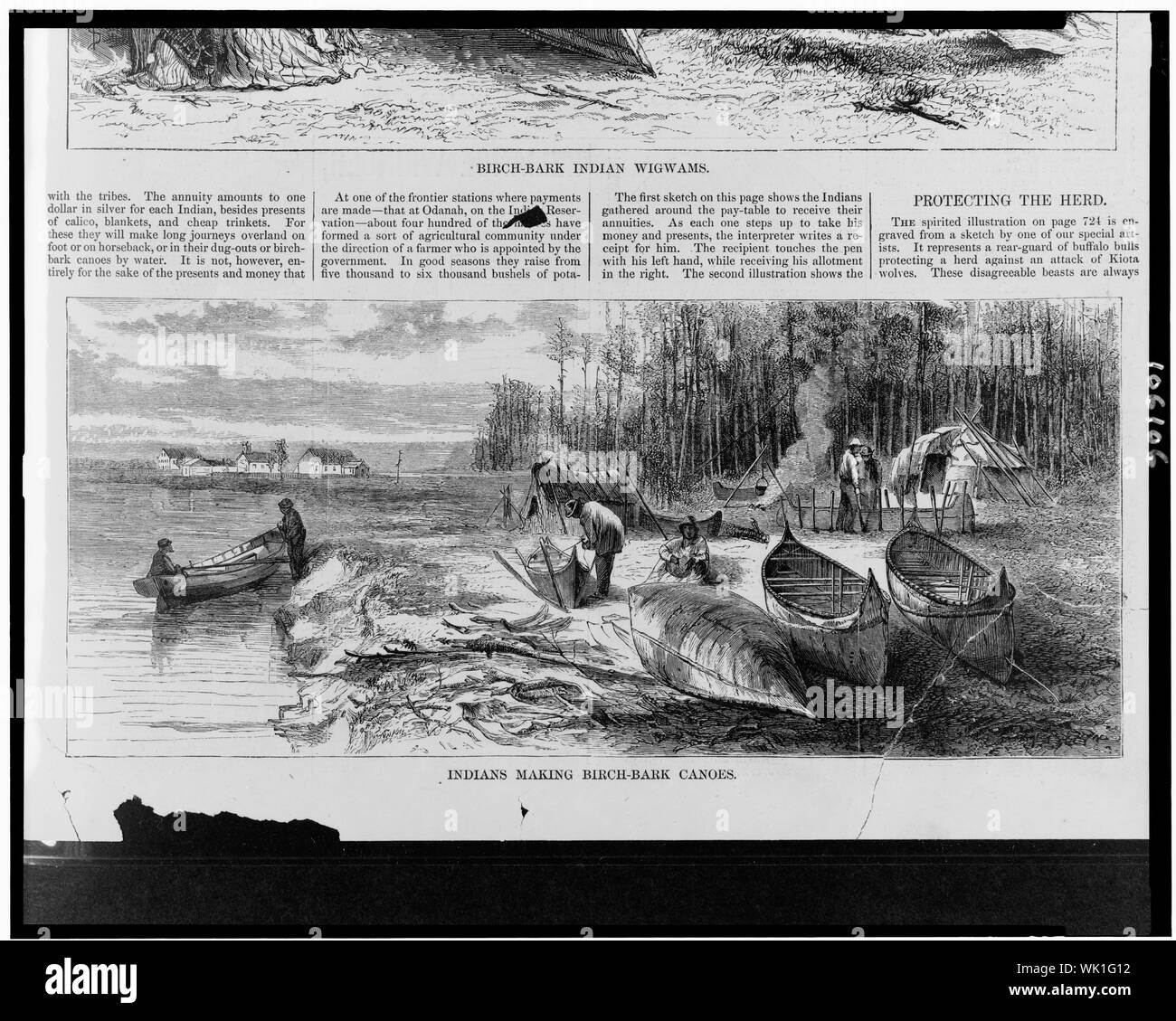 Bark construction Cut Out Stock Images & Pictures - Alamy