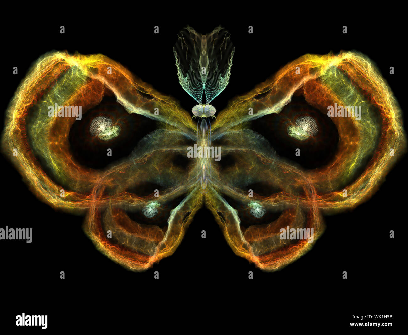 Never Were Butterflies series. Composition of isolated butterfly ...