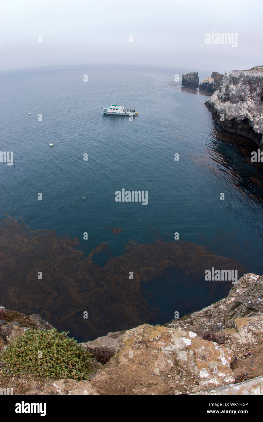 Truth Aquatics SCUBA dive boat the Conception was burned while at sea ...