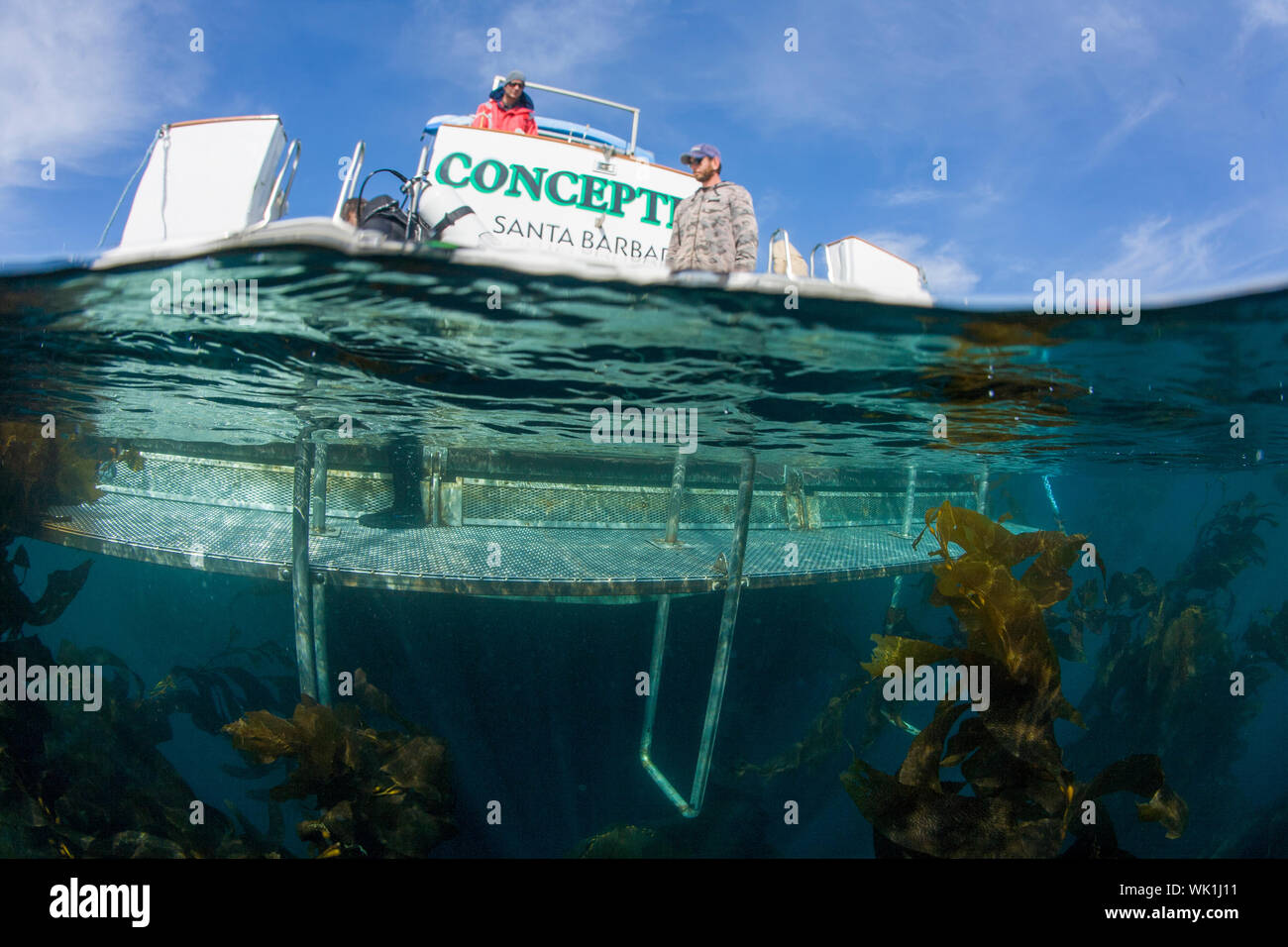 Truth Aquatics SCUBA dive boat the Conception was burned while at sea ...