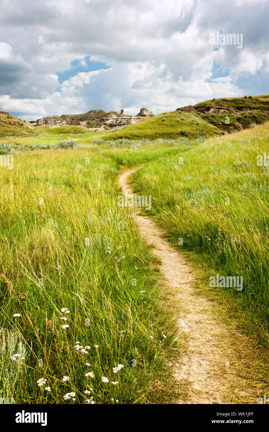 Hiking trail through Badlands in Dinosaur provincial park, Alberta ...