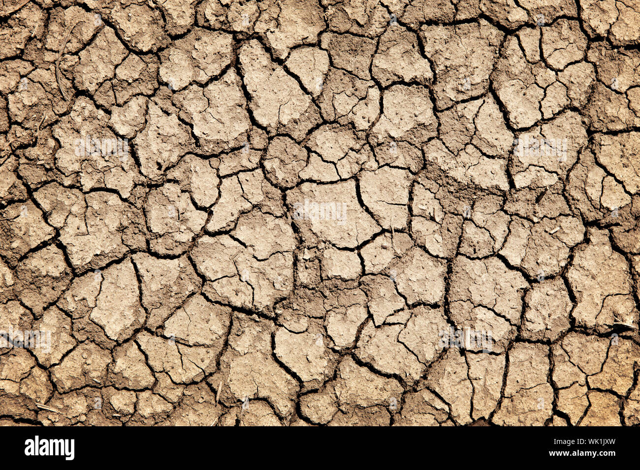 Background of dry cracked soil dirt or earth during drought Stock Photo ...