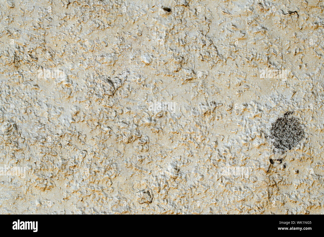 Closeup texture of limestone texture background Stock Photo - Alamy