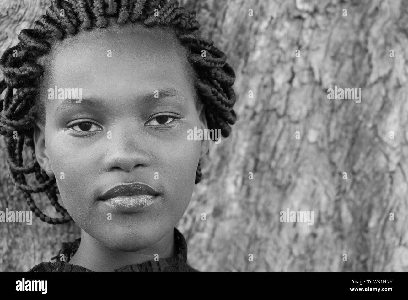 Braided trunk hi-res stock photography and images - Alamy