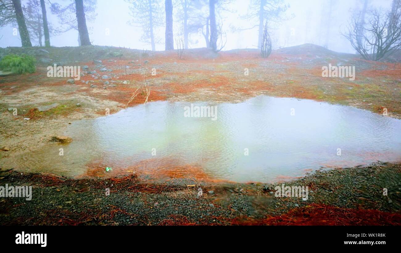 Spring pond hi-res stock photography and images - Alamy