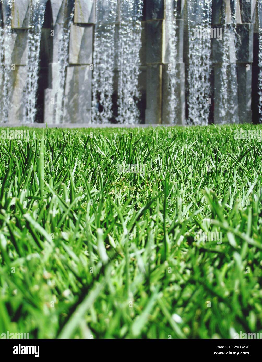 Waterfall with grass hi-res stock photography and images - Alamy