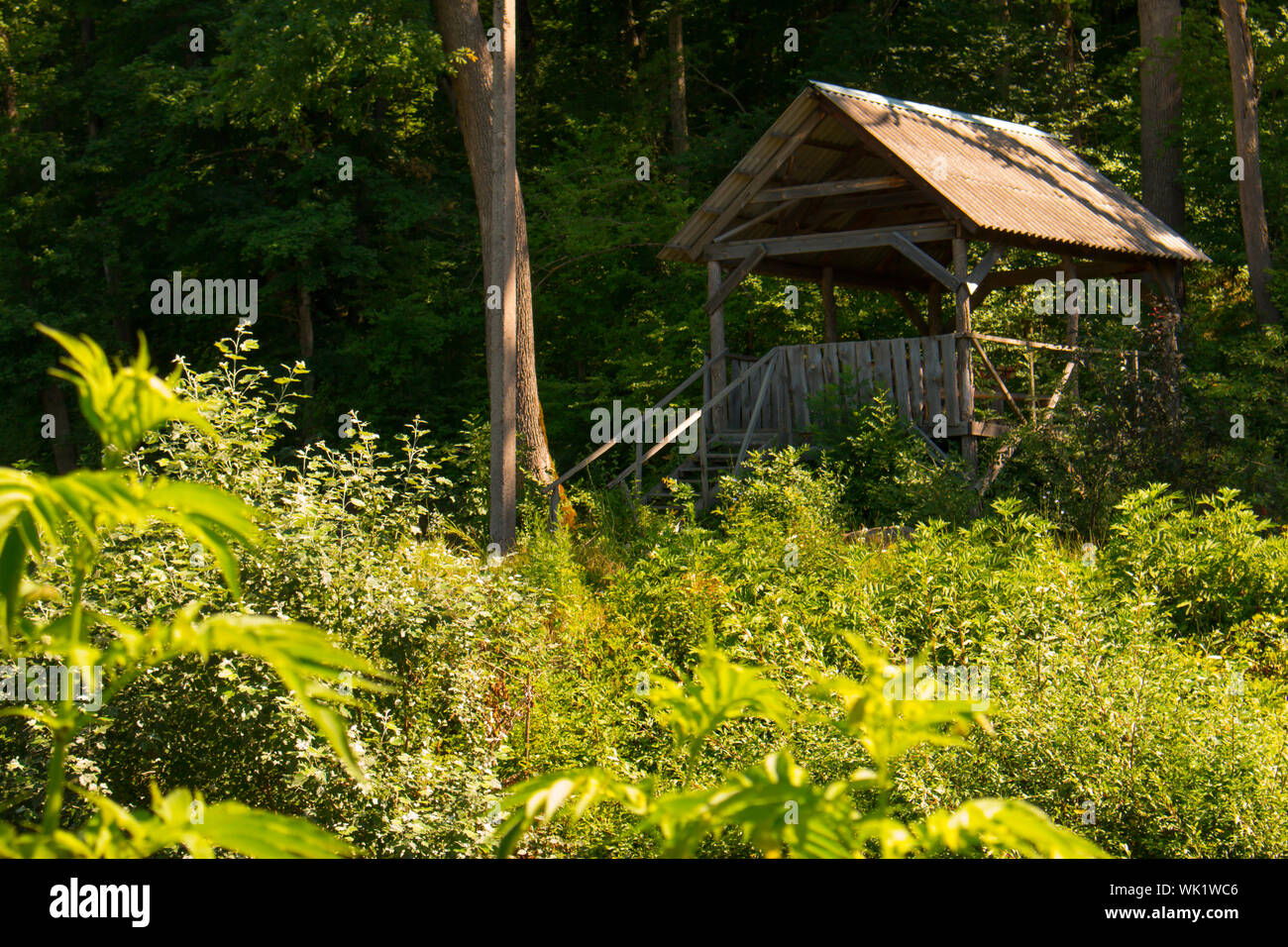 Wooden arbor in the forest Stock Photo - Alamy