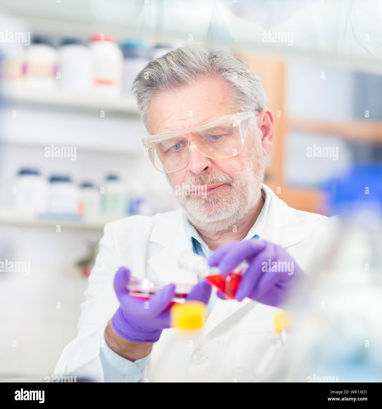Studying organisms hi-res stock photography and images - Alamy