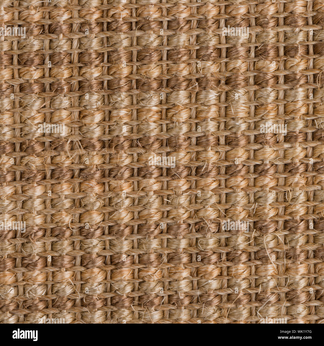 Sisal Rug Texture