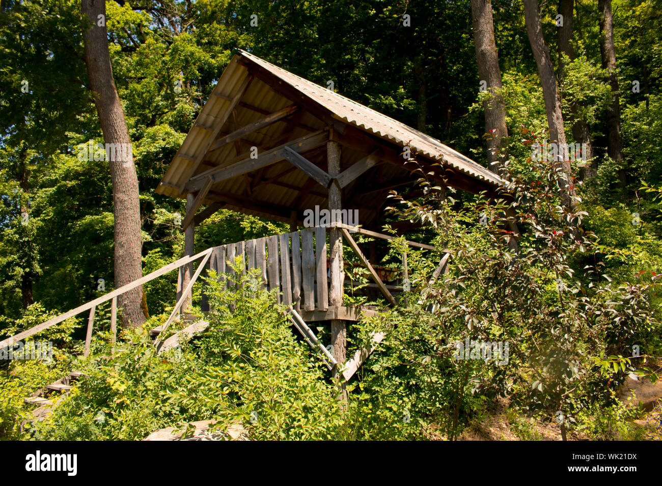 Wooden arbor in the forest Stock Photo - Alamy
