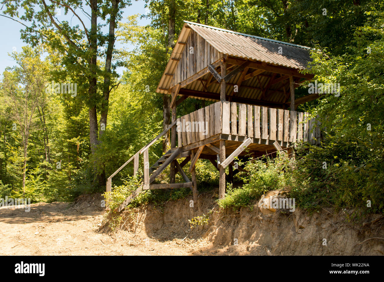 Wooden arbor in the forest Stock Photo - Alamy