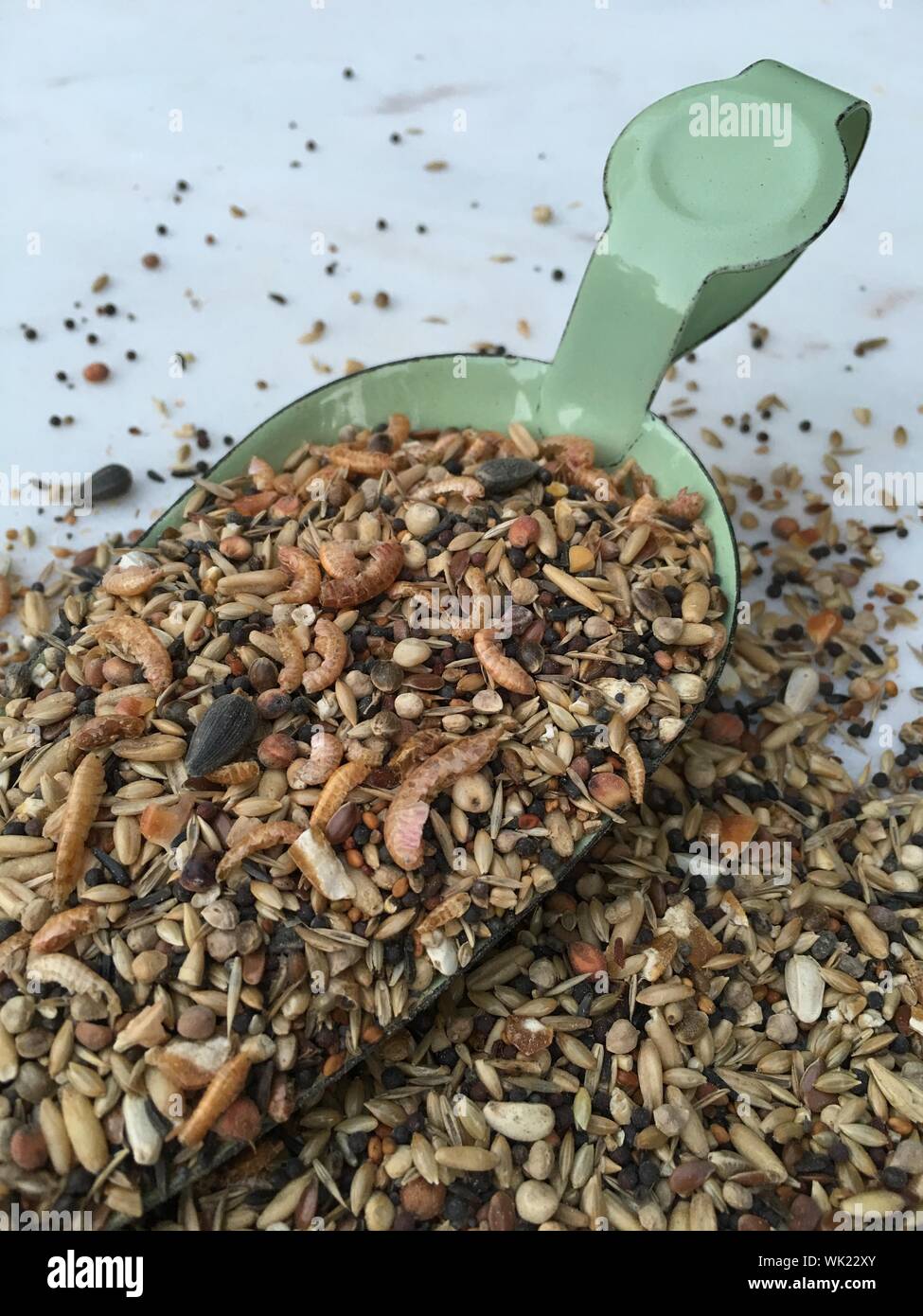 Worms and seeds hi-res stock photography and images - Alamy