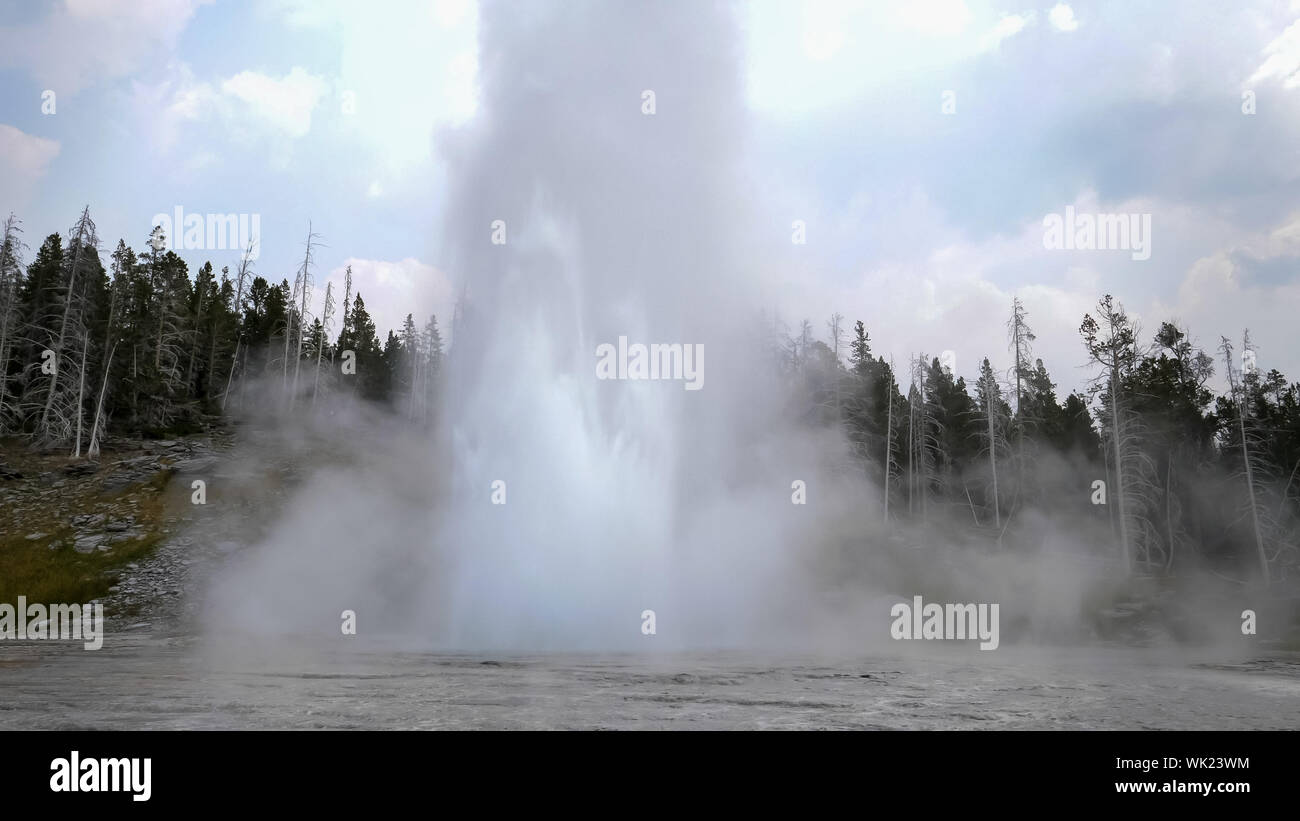a grand geyser eruption in yellowstone np Stock Photo - Alamy