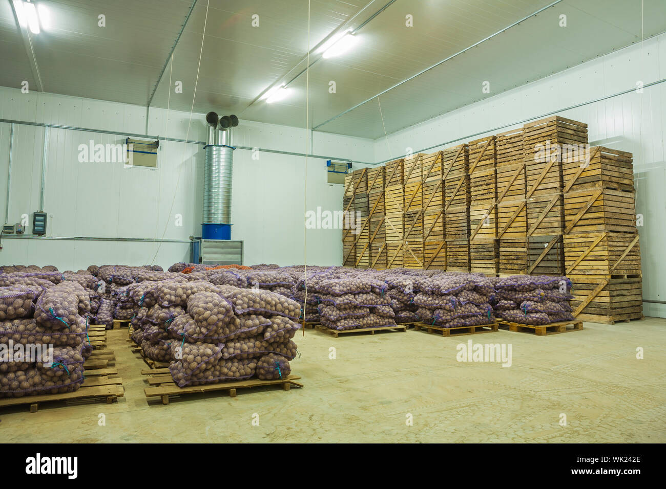 Potato Storage Warehouse High Resolution Stock Photography and Images ...
