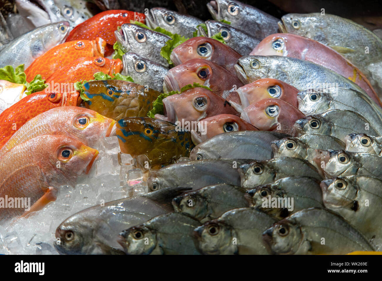 Fresh fish with ice at market, Taipei, Taiwan Stock Photo - Alamy