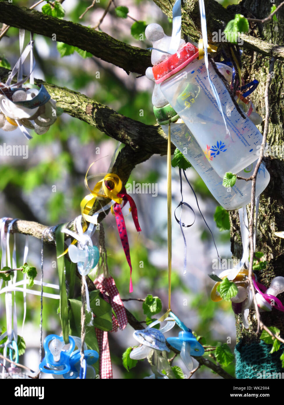 Pacifier tree hi-res stock photography and images - Alamy