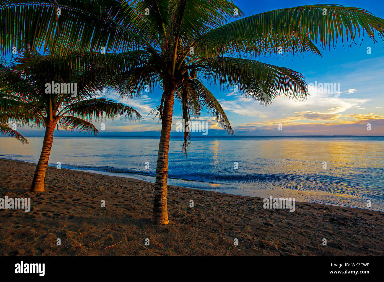 Donsol whale hi-res stock photography and images - Alamy