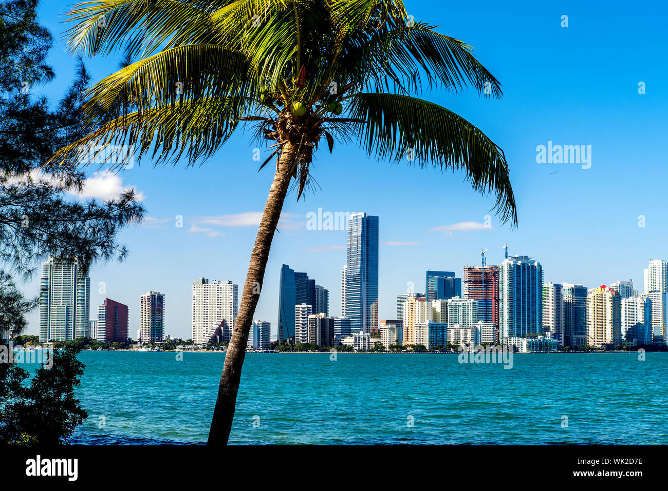 Miami Downtown skyline in daytime with Biscayne Bay Stock Photo - Alamy