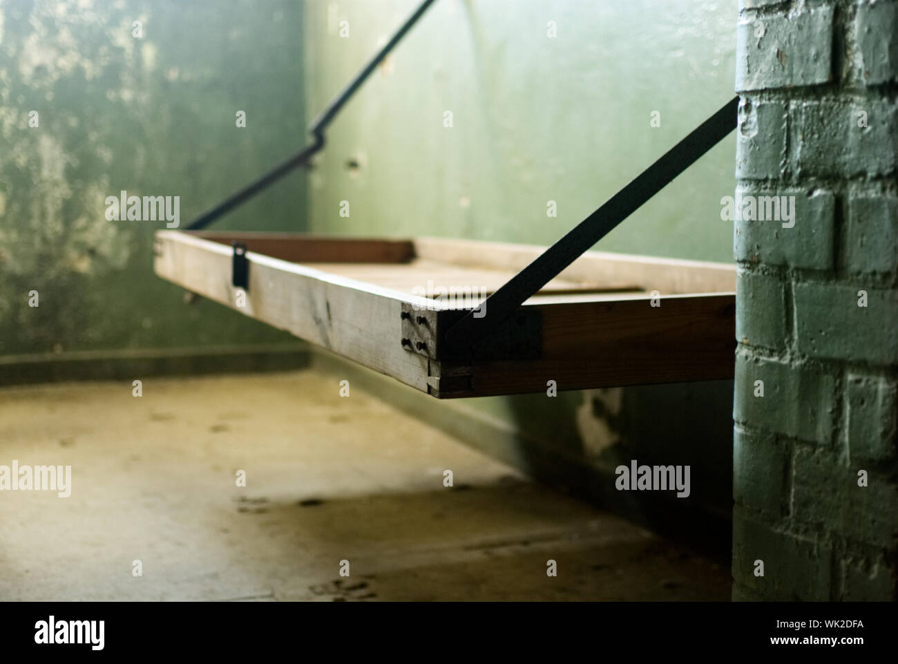 Cell wall hi-res stock photography and images - Alamy