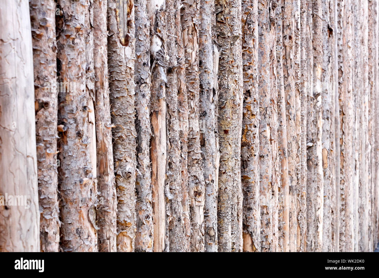 A tree branch or tree trunk fence facade background Stock Photo - Alamy