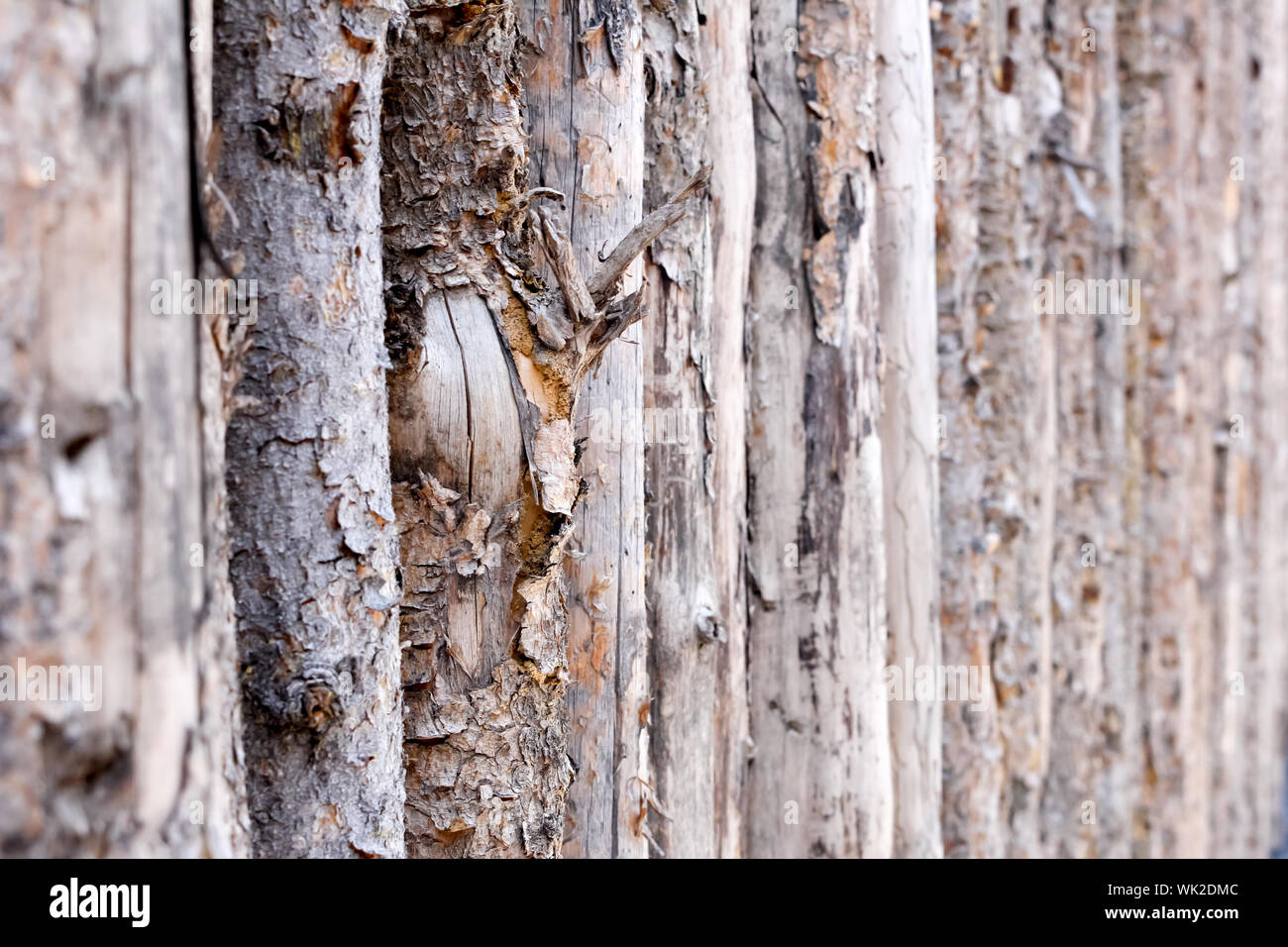 A tree branch or tree trunk fence facade background Stock Photo - Alamy