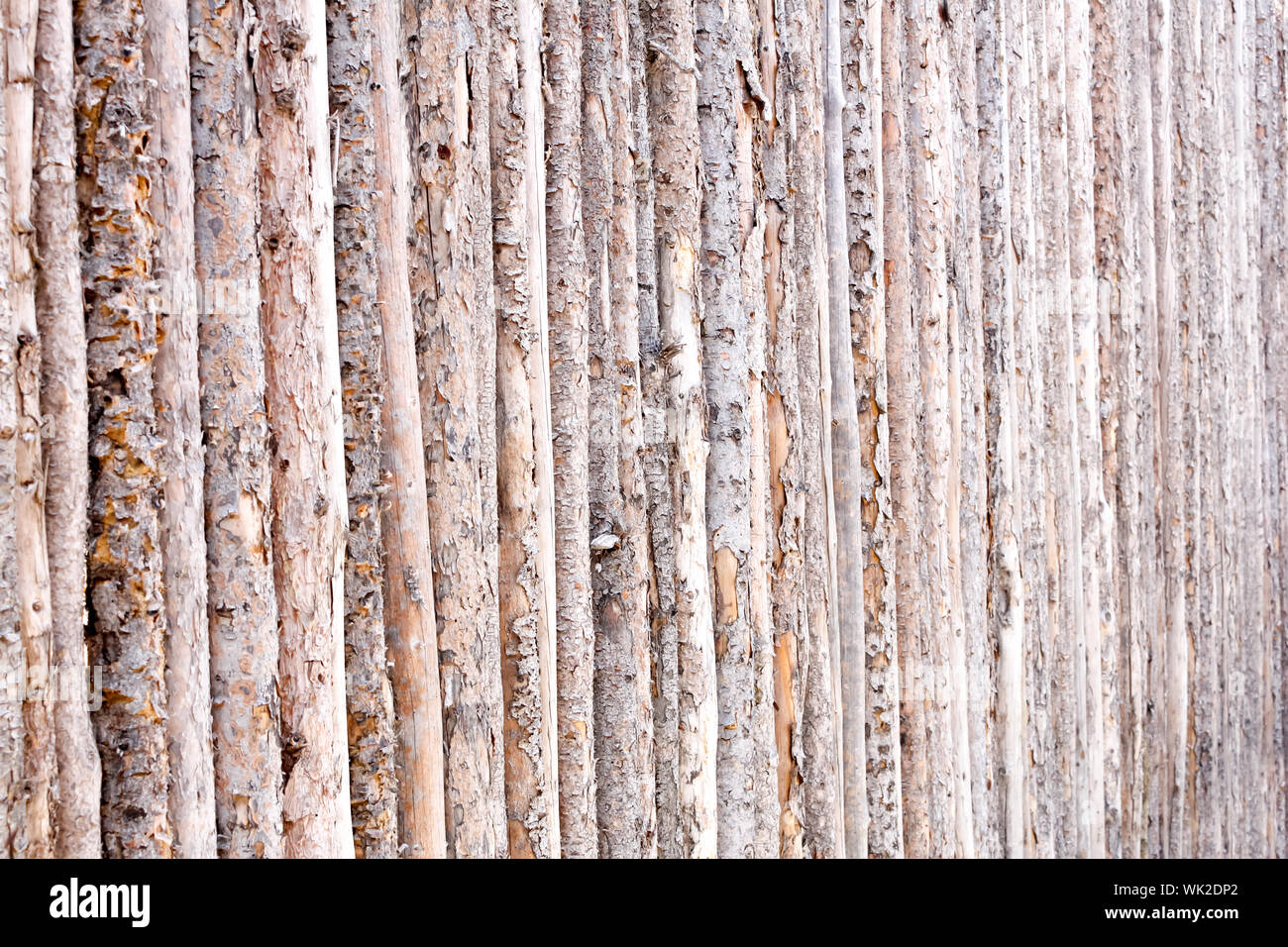 A tree branch or tree trunk fence facade background Stock Photo - Alamy