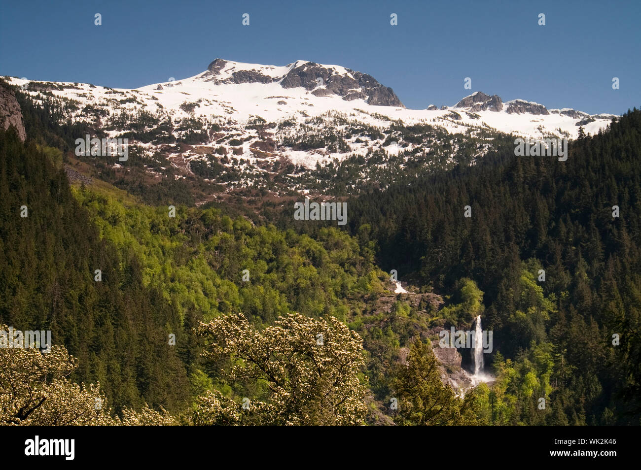 Water falls off the mountains in the North Cascades Stock Photo - Alamy