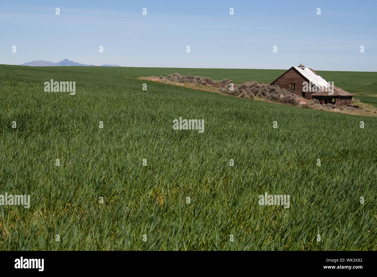 An abandoned farm house uses up valuable farm land Stock Photo - Alamy