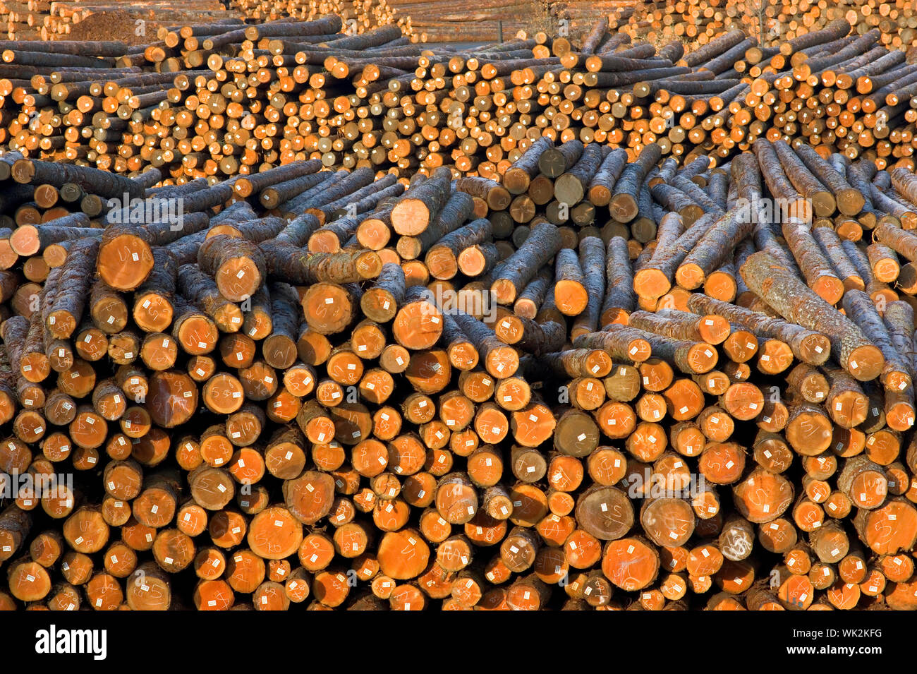 Wood log pile background Stock Photo - Alamy