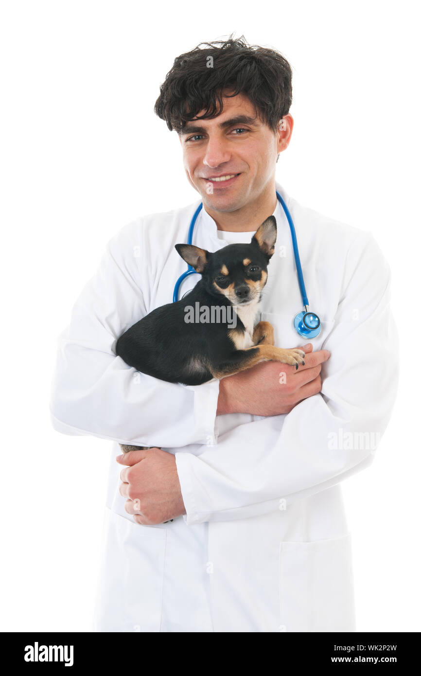 Handsome veterinarian with dog isolated over white background Stock ...