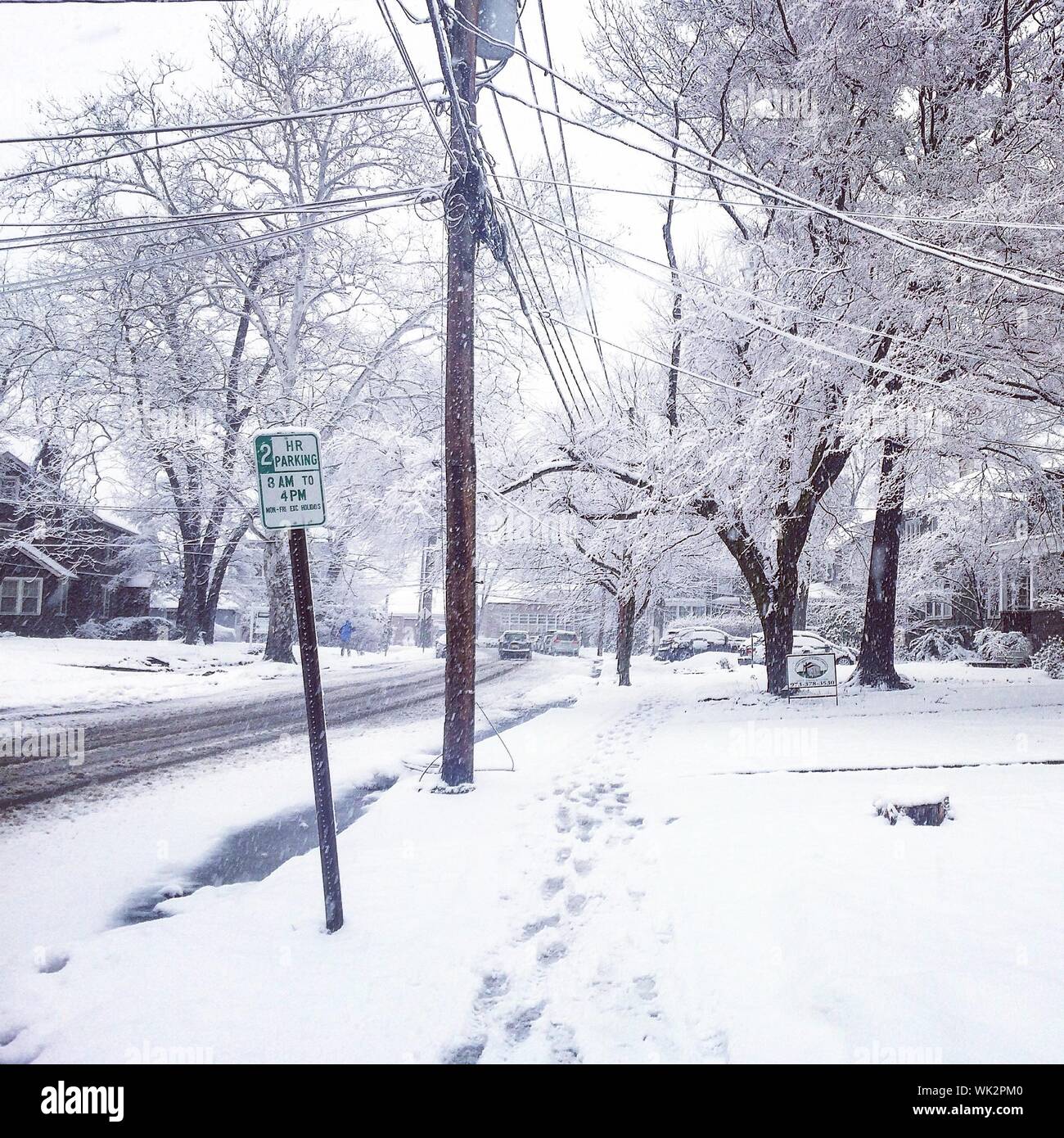 Frozen snowy trees hi-res stock photography and images - Alamy