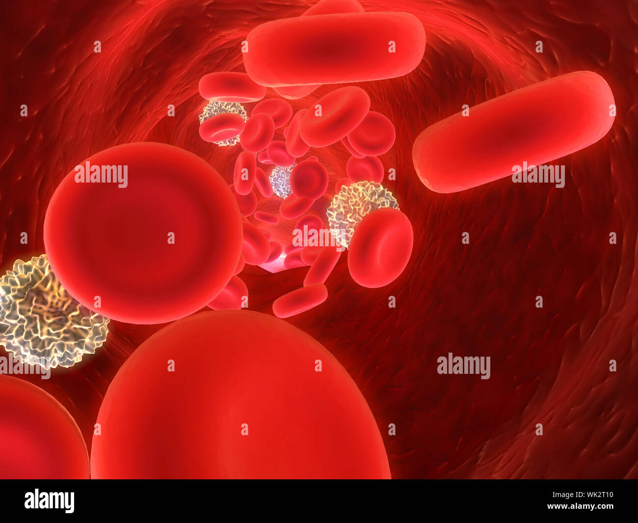 streaming blood cell Stock Photo - Alamy