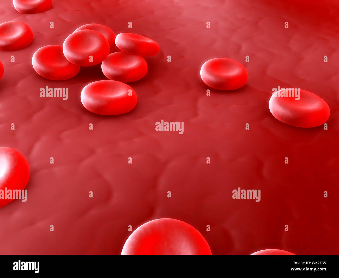 blood cell close up Stock Photo - Alamy