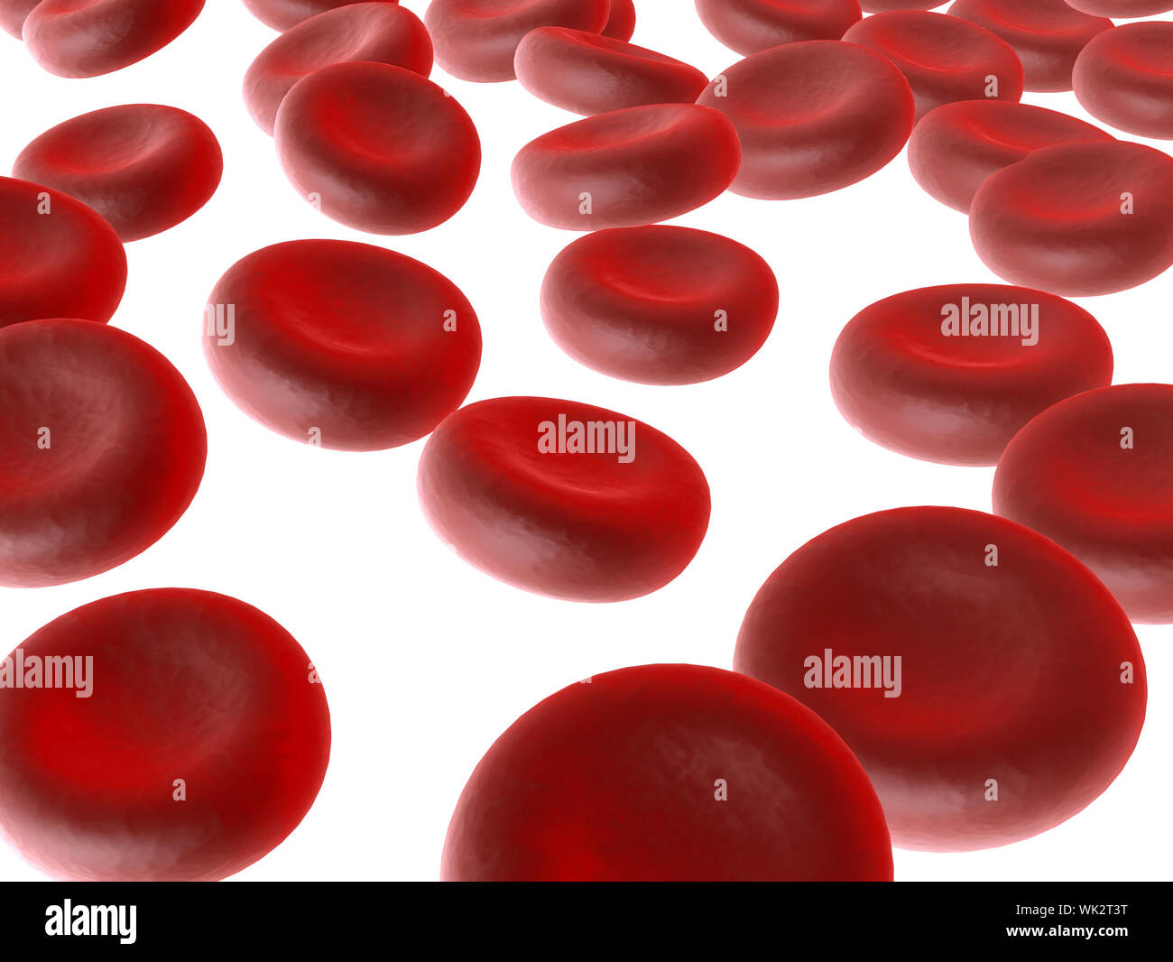 blood cell close up Stock Photo - Alamy