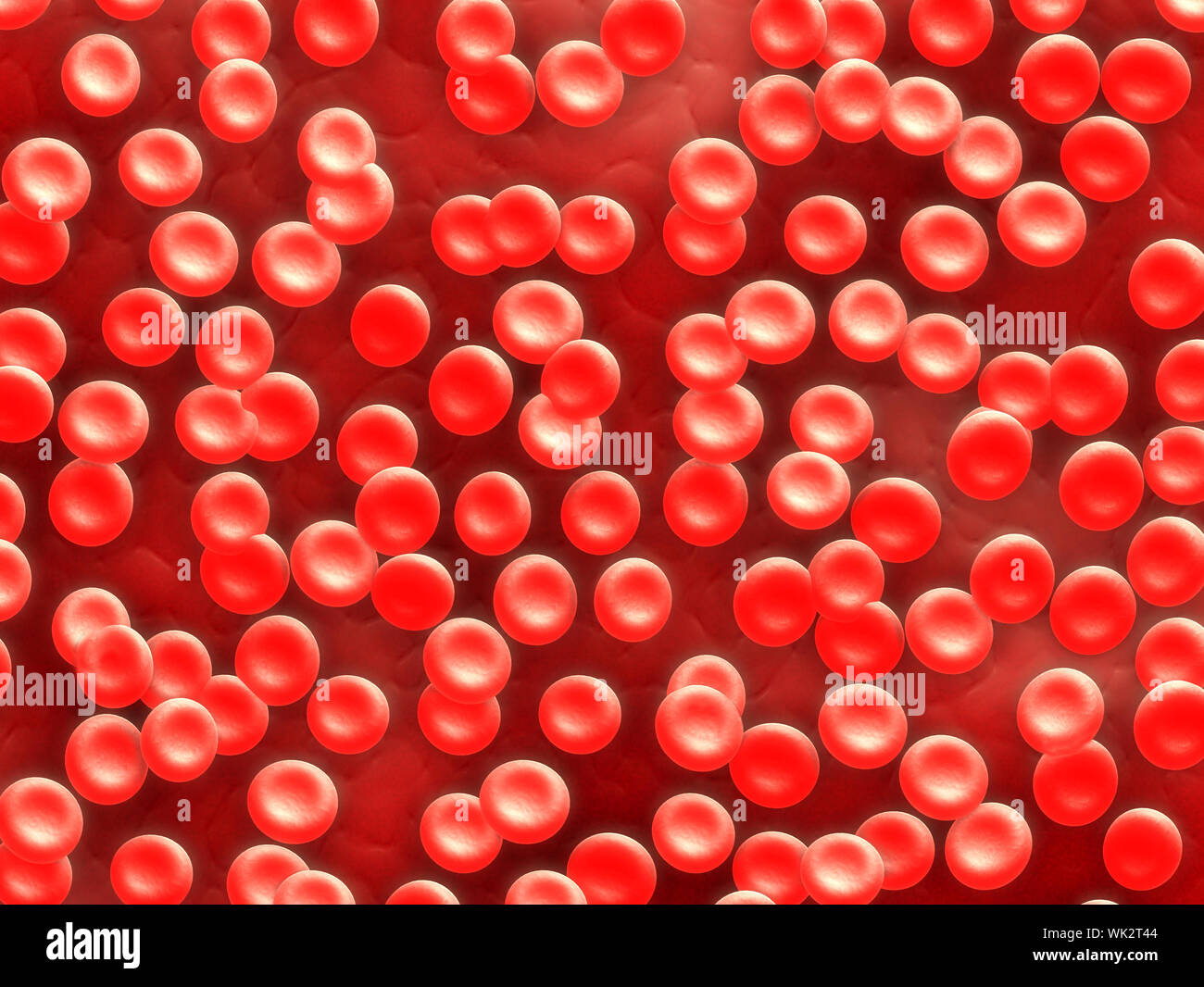 blood cell close up Stock Photo - Alamy