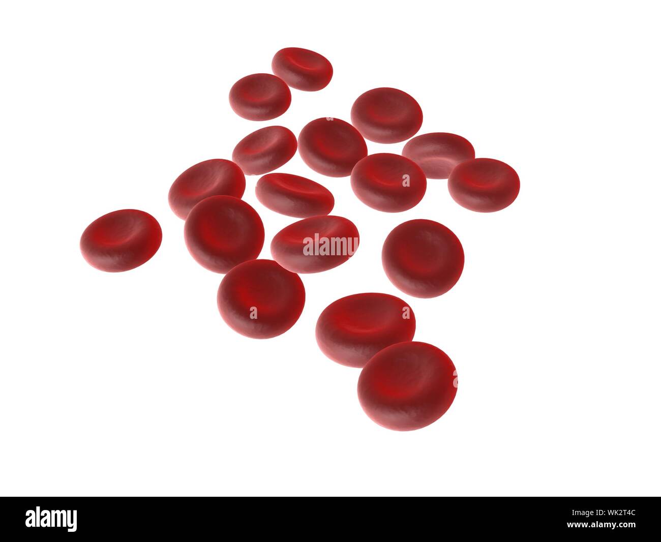 close up of red blood cells Stock Photo - Alamy