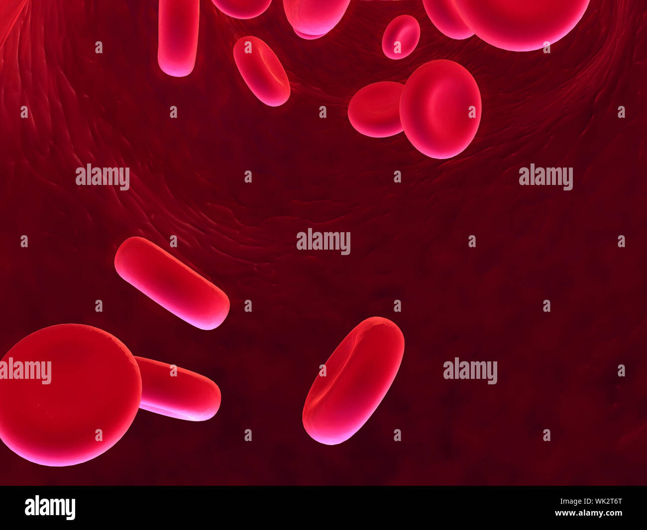 blood cells close up Stock Photo - Alamy