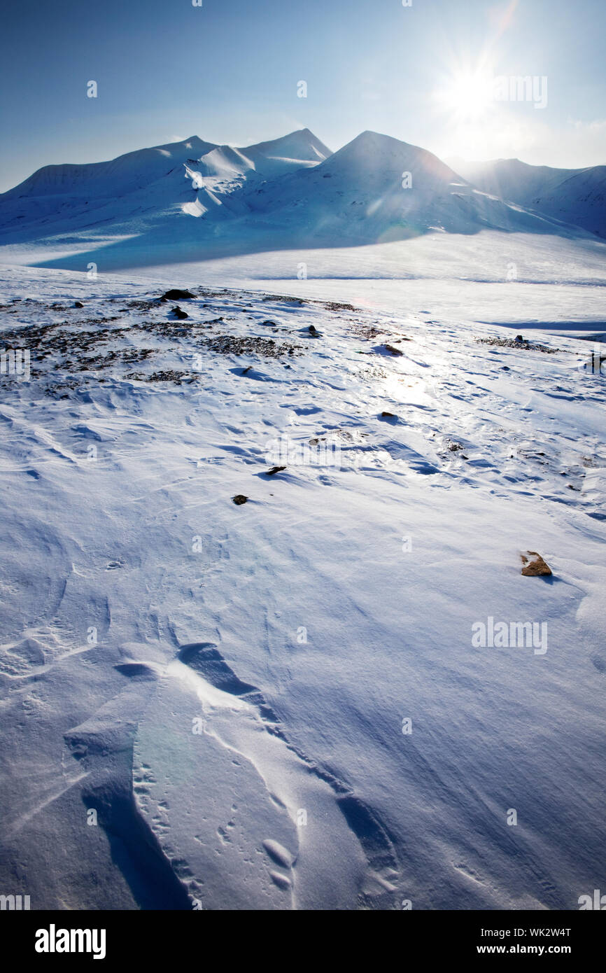 Svalbard norway ice cold environment glacial hi-res stock photography ...