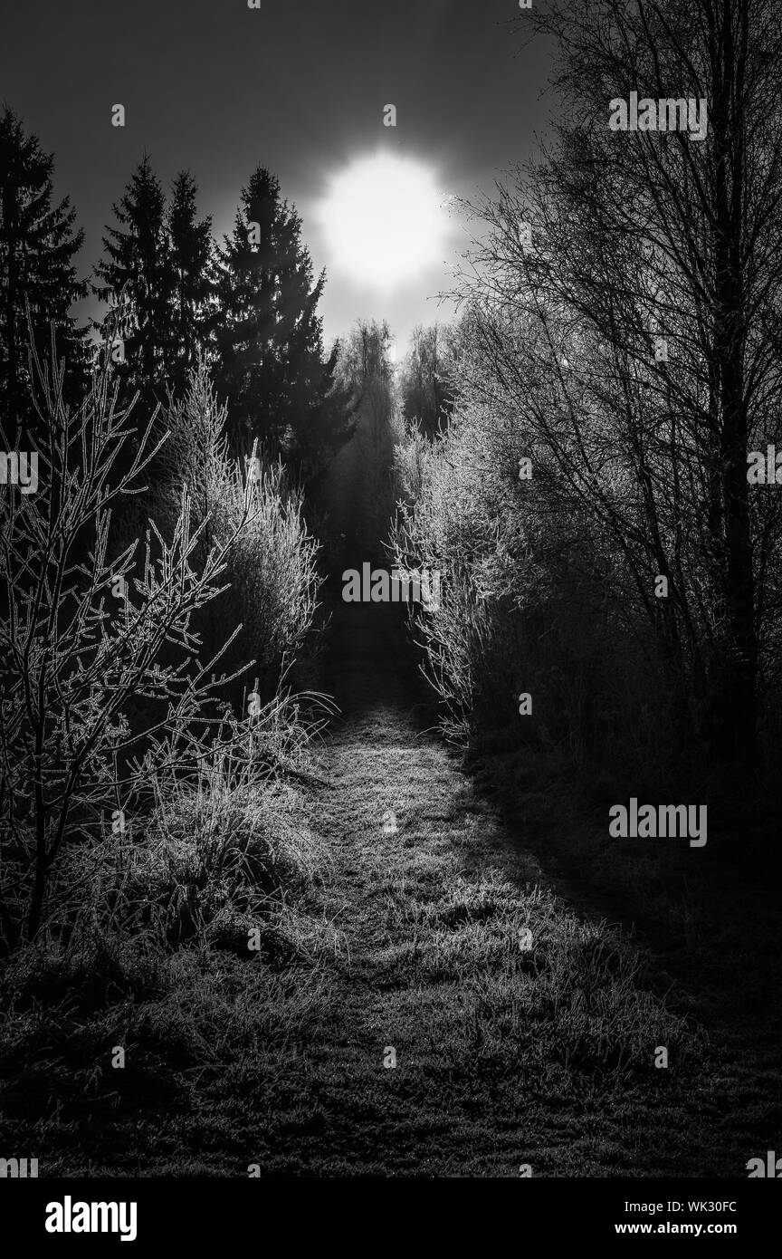 Illuminated path hi-res stock photography and images - Alamy