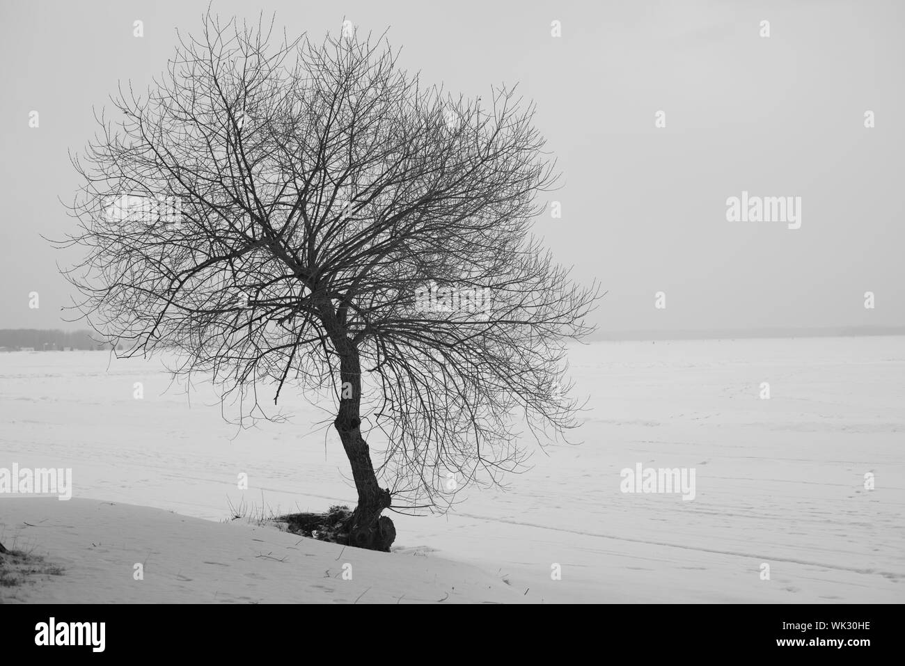 Late autumn light Black and White Stock Photos & Images - Alamy