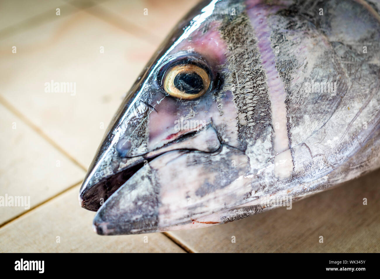 Fresh fish on fish market in Muscat, Oman Stock Photo - Alamy