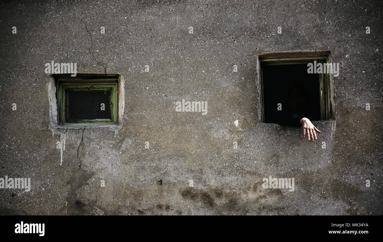 Man leaning out window hi-res stock photography and images - Alamy