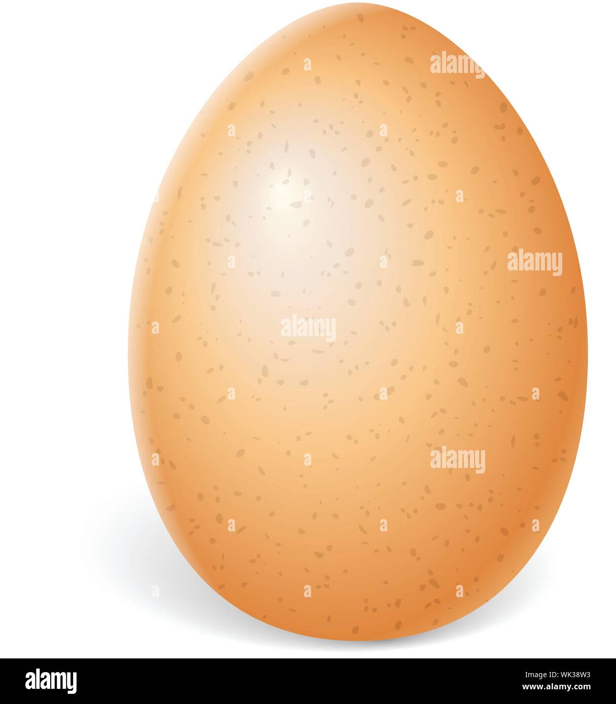 Egg on a white background. Vector illustration Stock Vector Image & Art ...