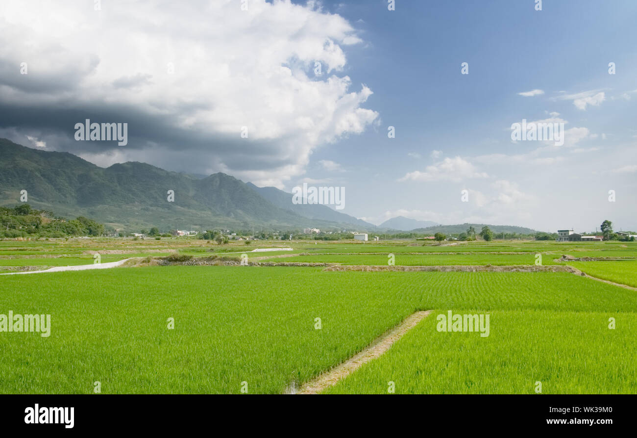 It is a landscape of beautiful green terraced field Stock Photo - Alamy