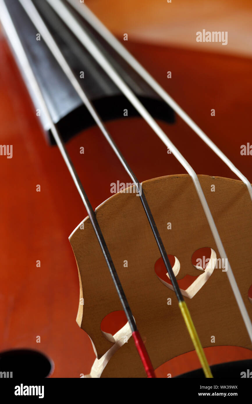 Standup bass hi-res stock photography and images - Alamy