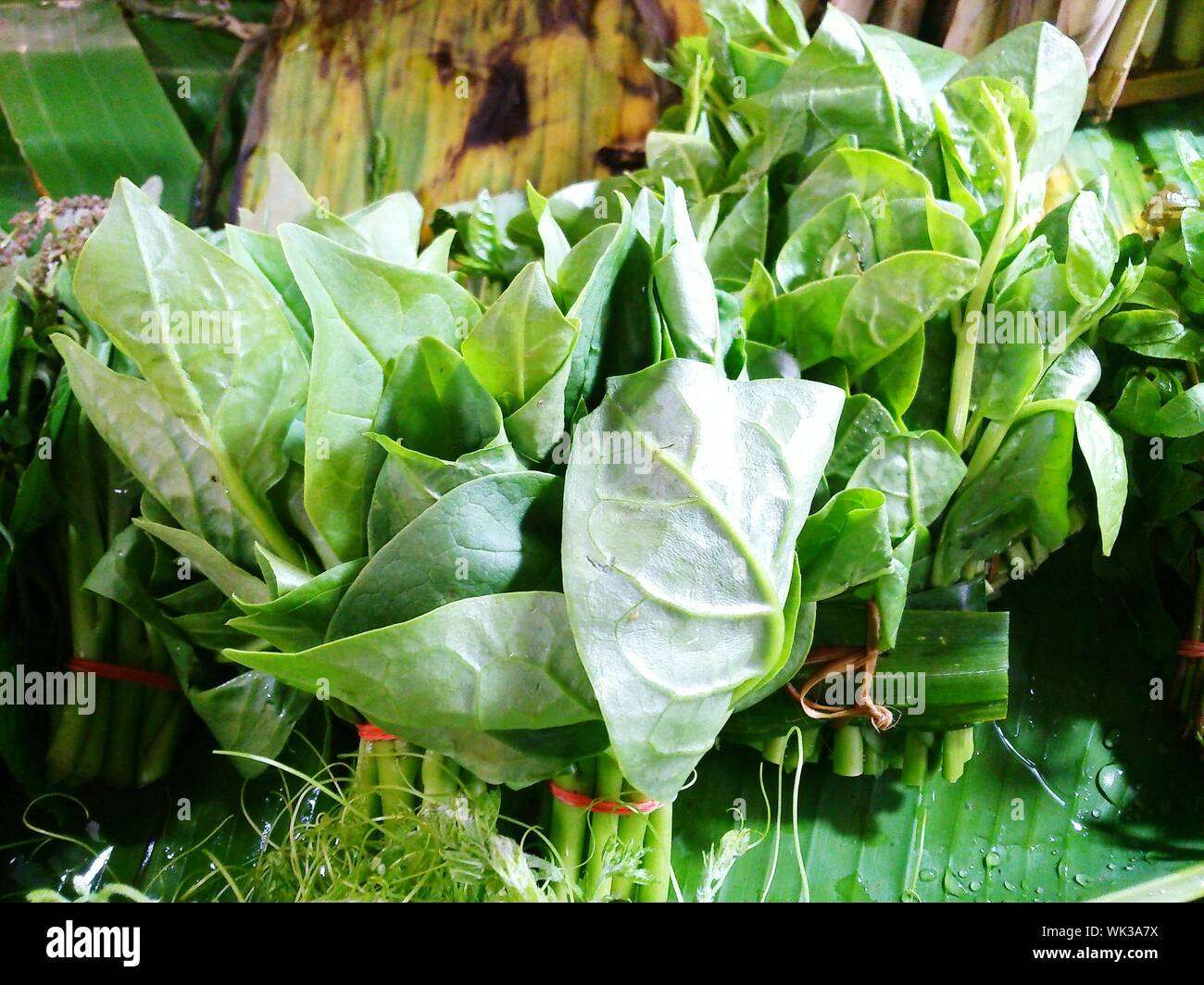 Green leafy vegetables in market hi-res stock photography and images ...