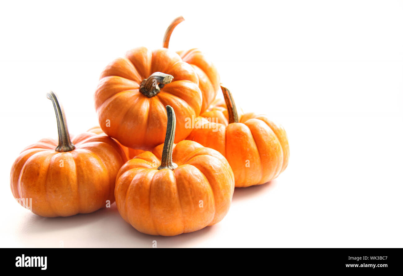 Little pumpkins Cut Out Stock Images & Pictures - Alamy