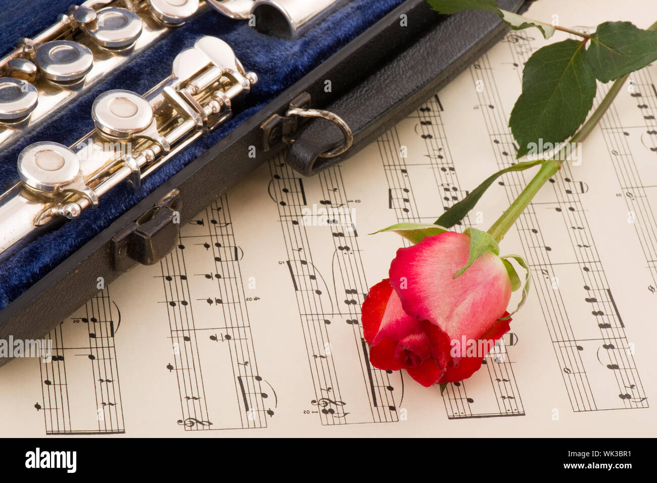 Musical flower arrangement hi-res stock photography and images - Alamy