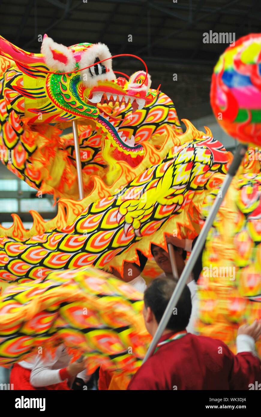 Real Dragon High Resolution Stock Photography and Images - Alamy