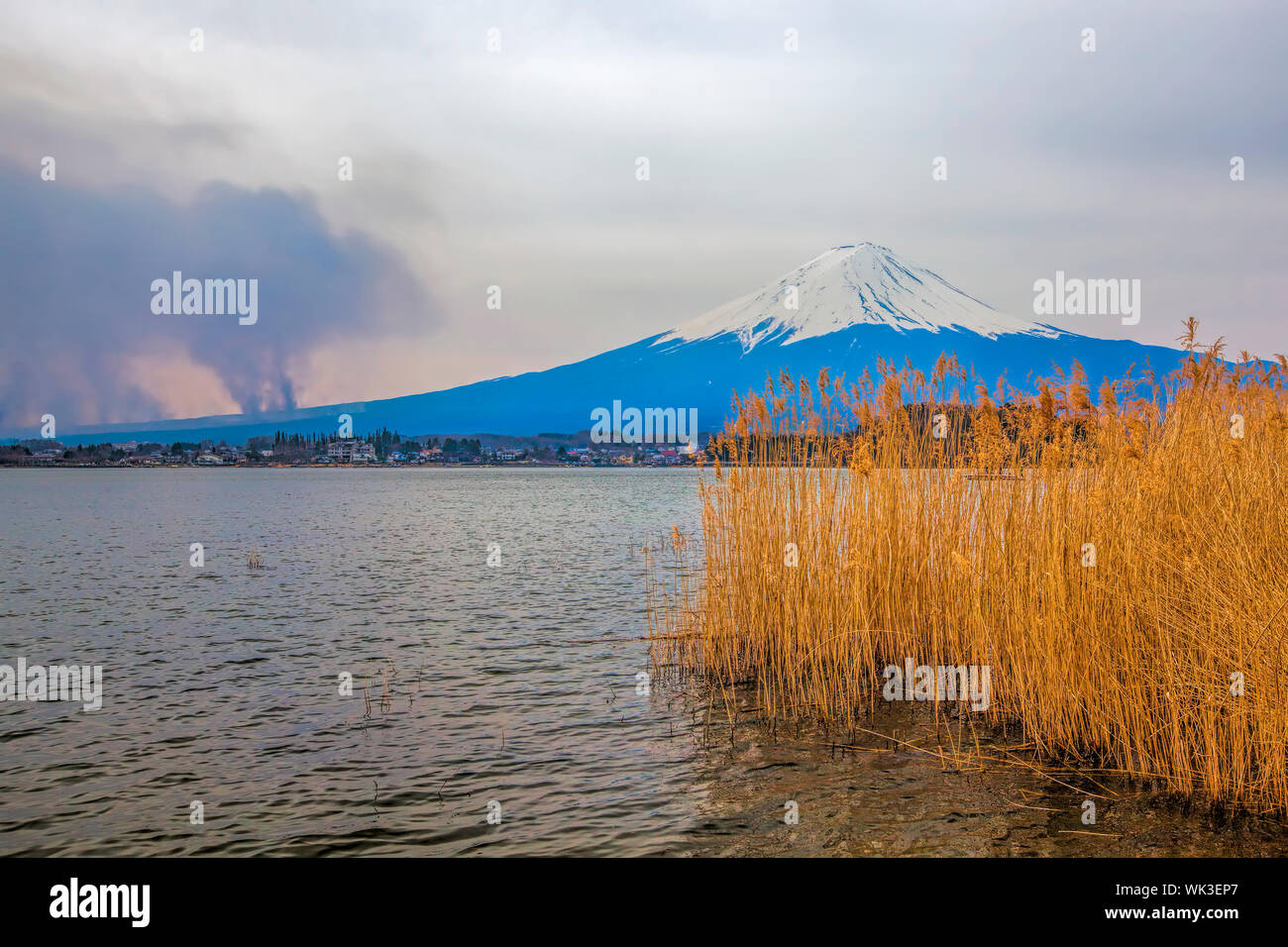 Mt Fuji in the spring seen from lake Kawaguchi Stock Photo - Alamy